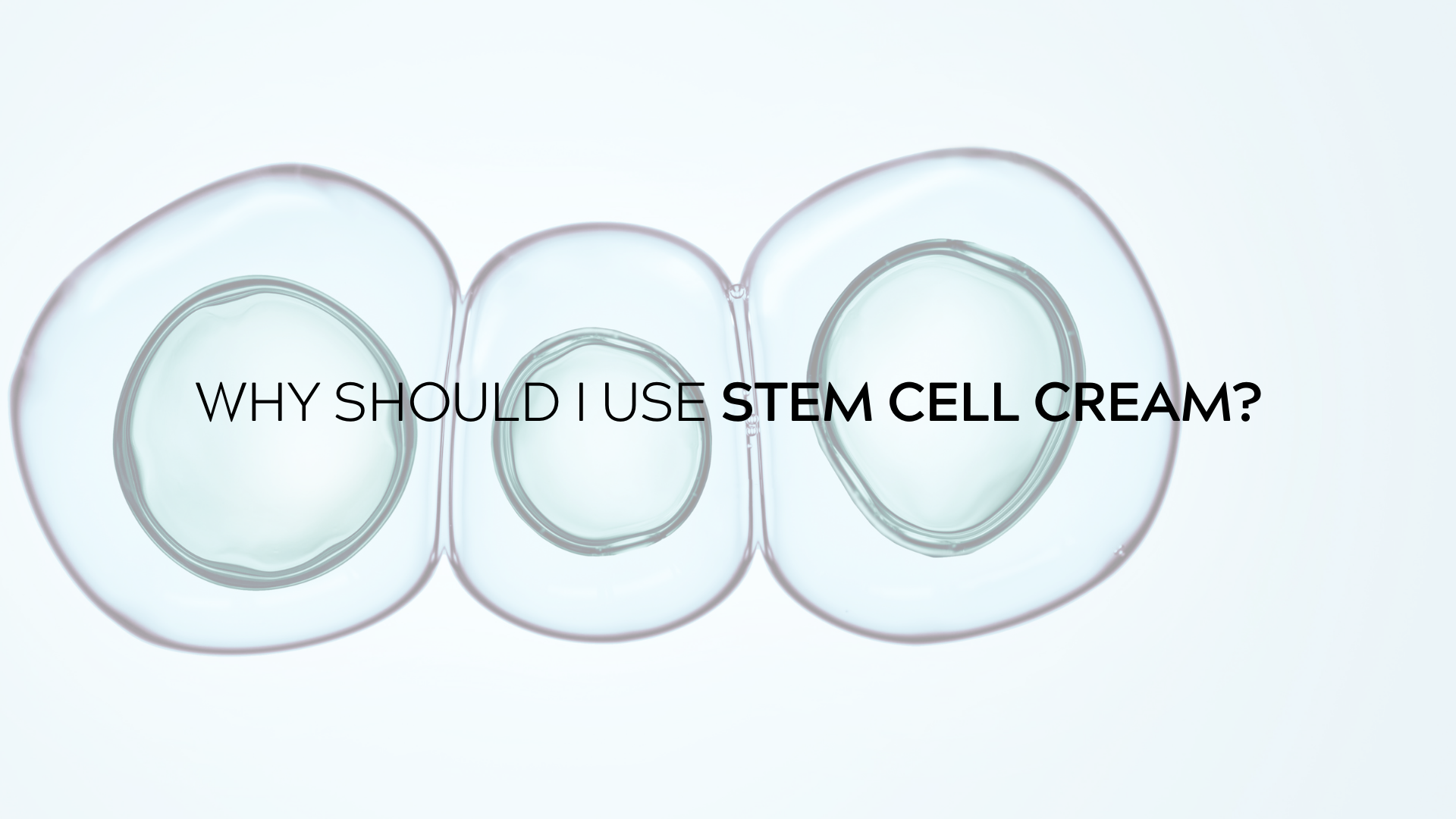 Why Should I Use Stem Cell Cream? – Vie De Mer Paris